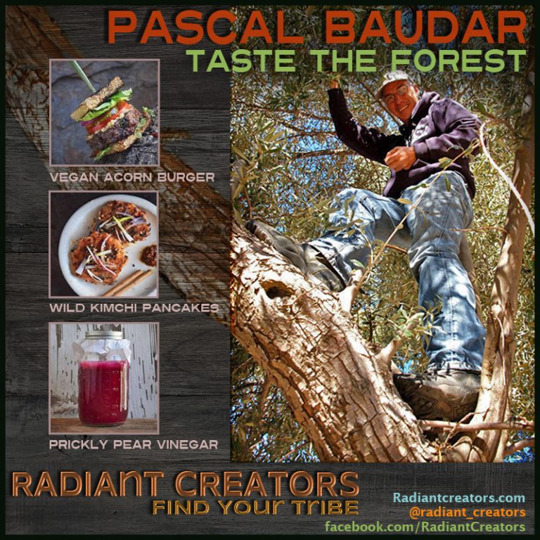 Interview With Pascal Baudar – Taste The Forest – Radiant Creators